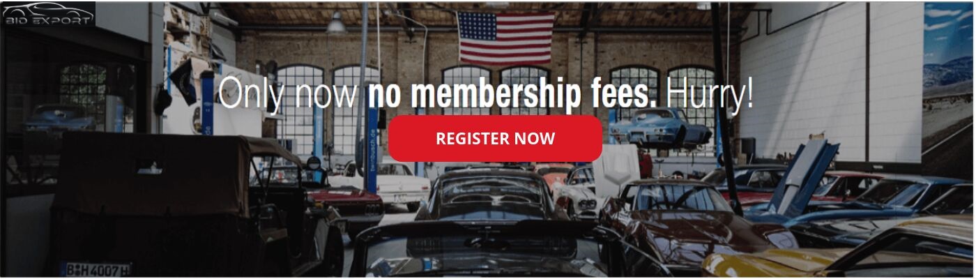 How to Choose the Right Car for You? - BID EXPORT